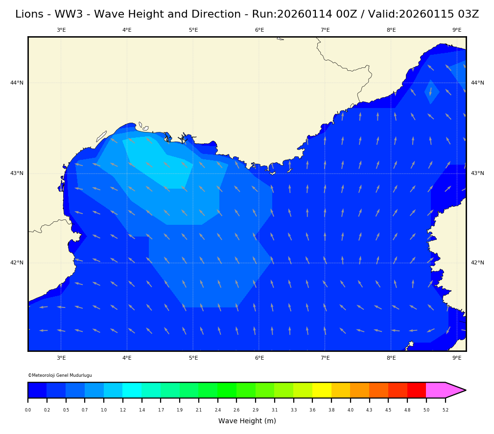 Lions, ww3 | Turkish State Meteorological Service
