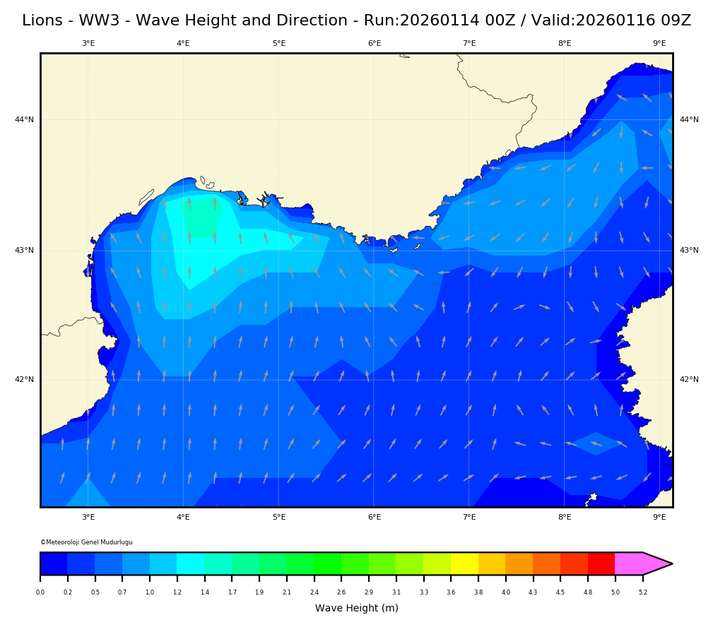 Lions, ww3 | Turkish State Meteorological Service